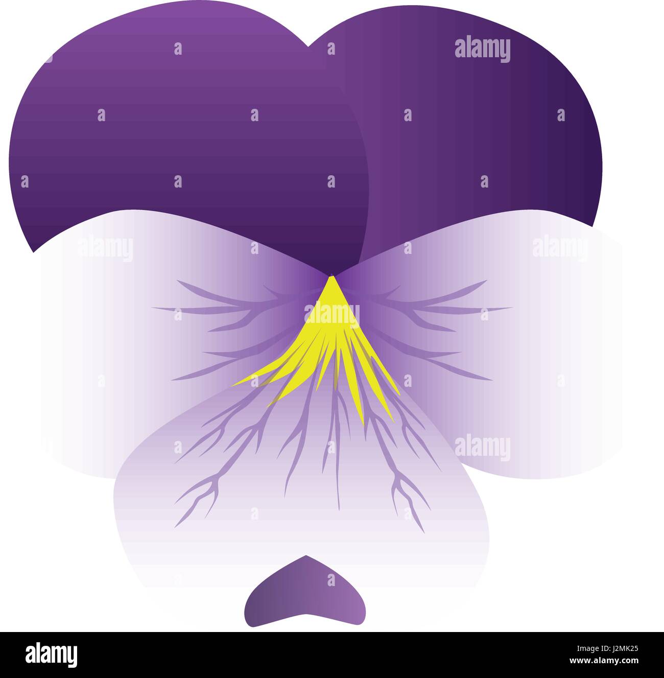 Purple flower vector hi-res stock photography and images - Alamy