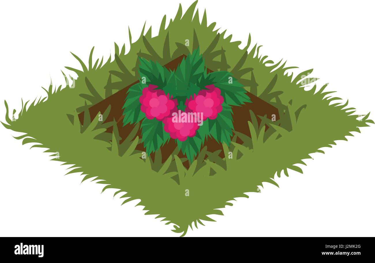 Cartoon Raspberry Bush