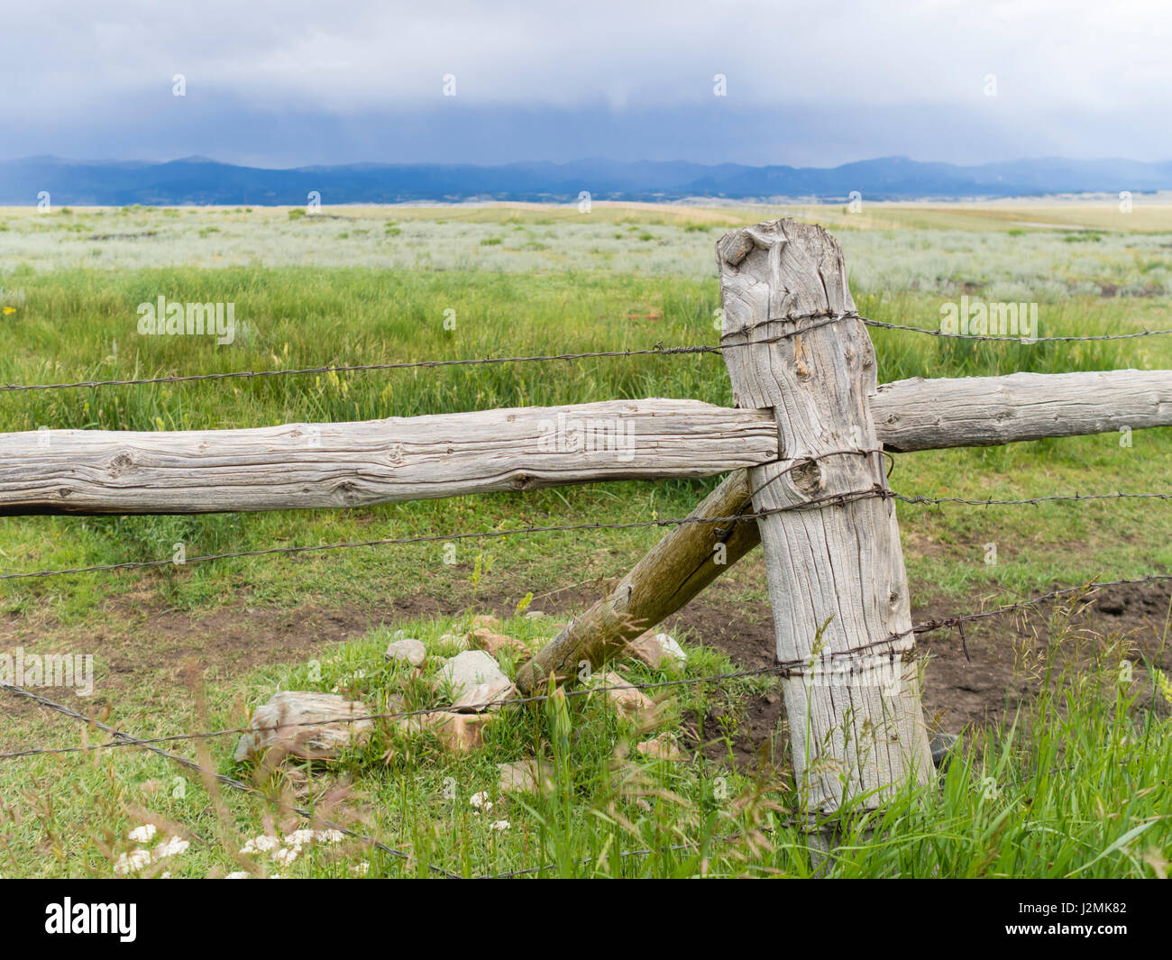 Weathered old wooden fence post with barbed wire hi-res stock ...