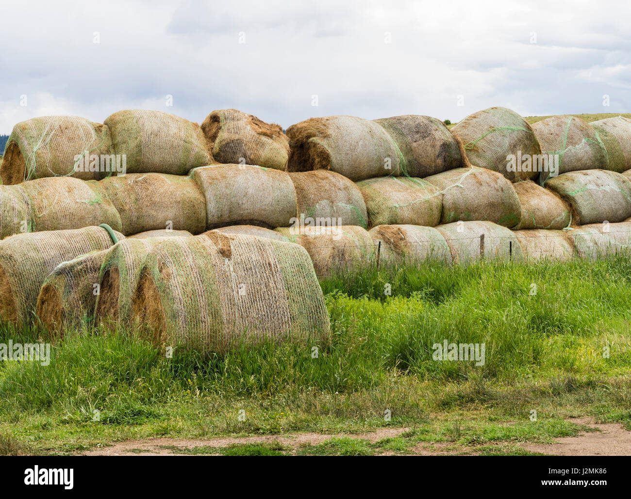 Solage High Resolution Stock Photography and Images - Alamy