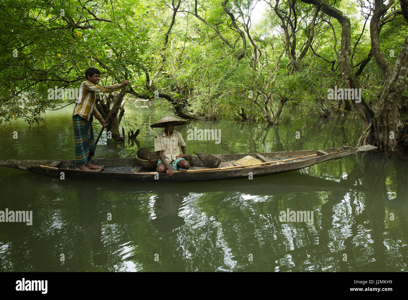 Ratargul fresh water swamp forest. It is a very interesting and ...