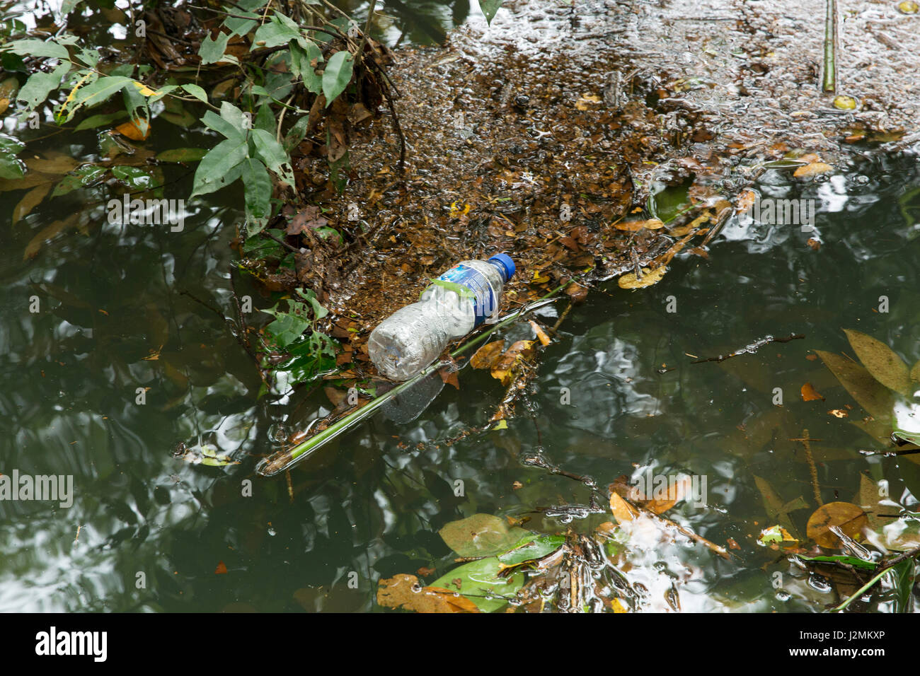 Wetland destruction hi-res stock photography and images - Alamy