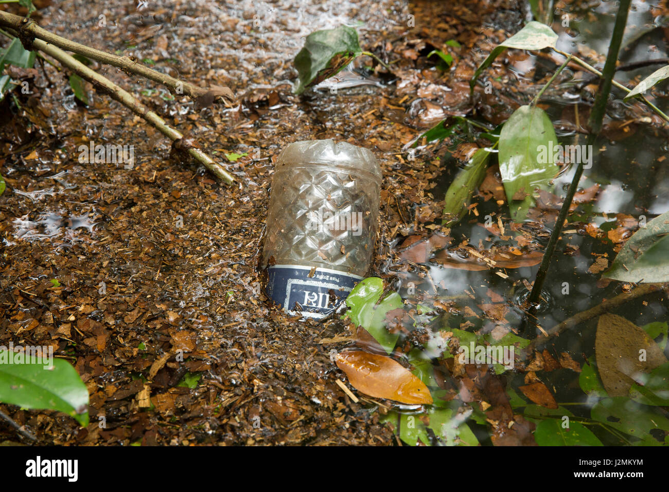 A used water bottle floating on the Ratargul fresh water swamp forest ...