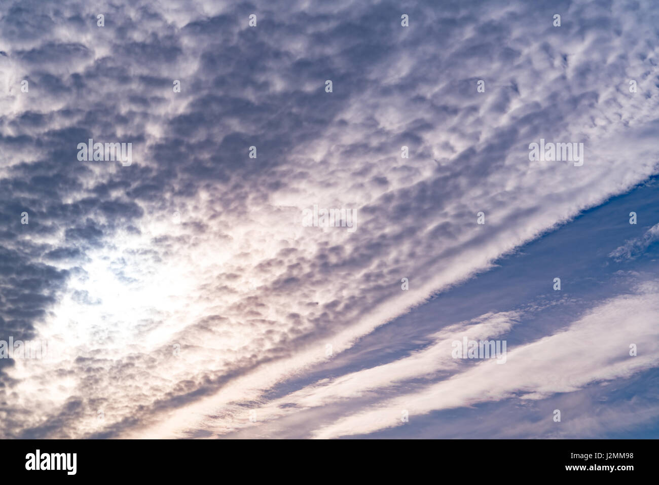 Sunlight filter hi-res stock photography and images - Alamy