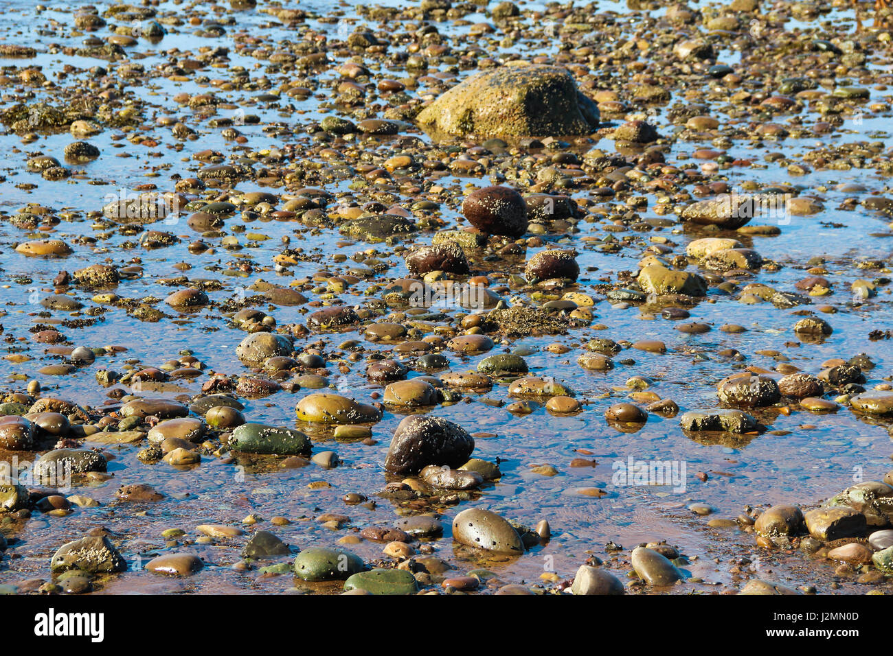 Stones in the water during low tide at the Atlantic Ocean, Canada Stock ...