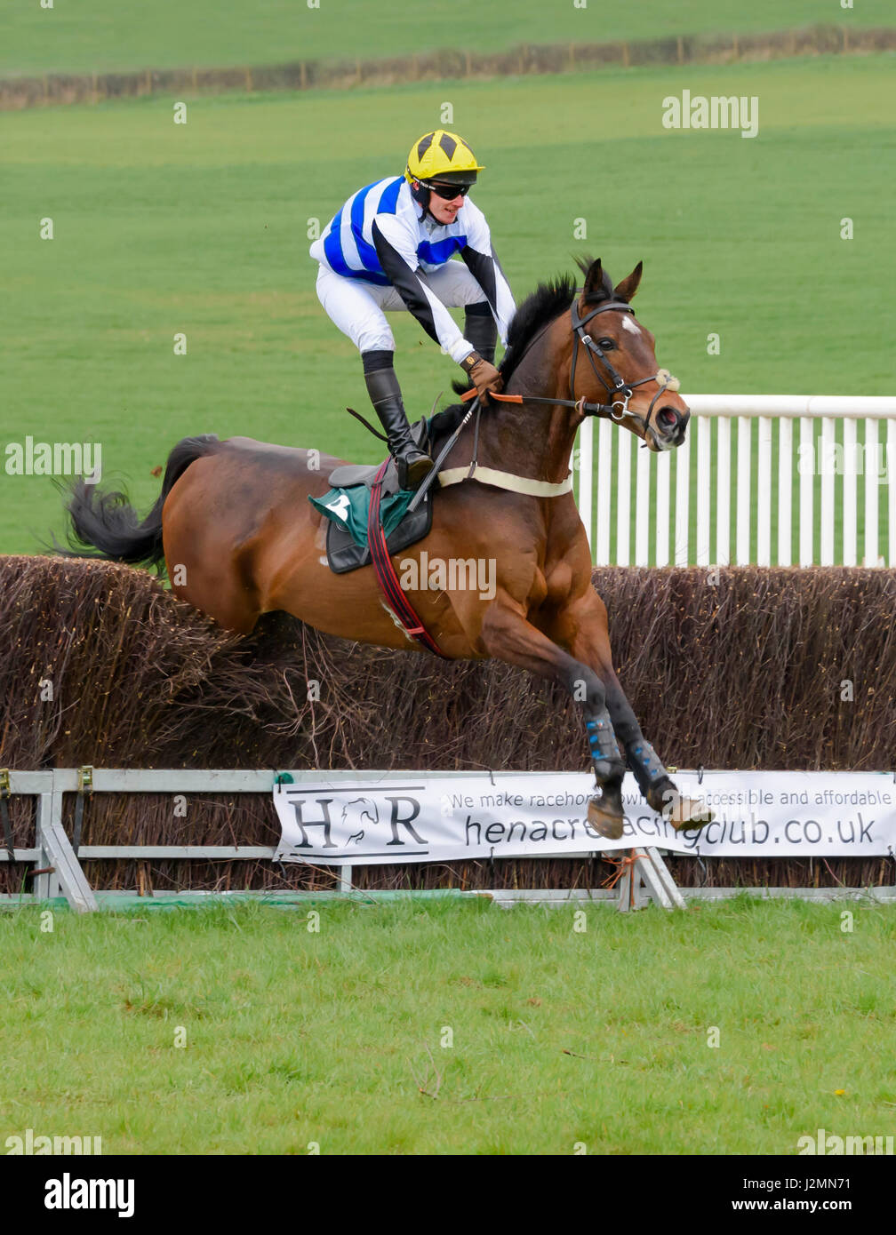 Jumping fences hi-res stock photography and images - Alamy