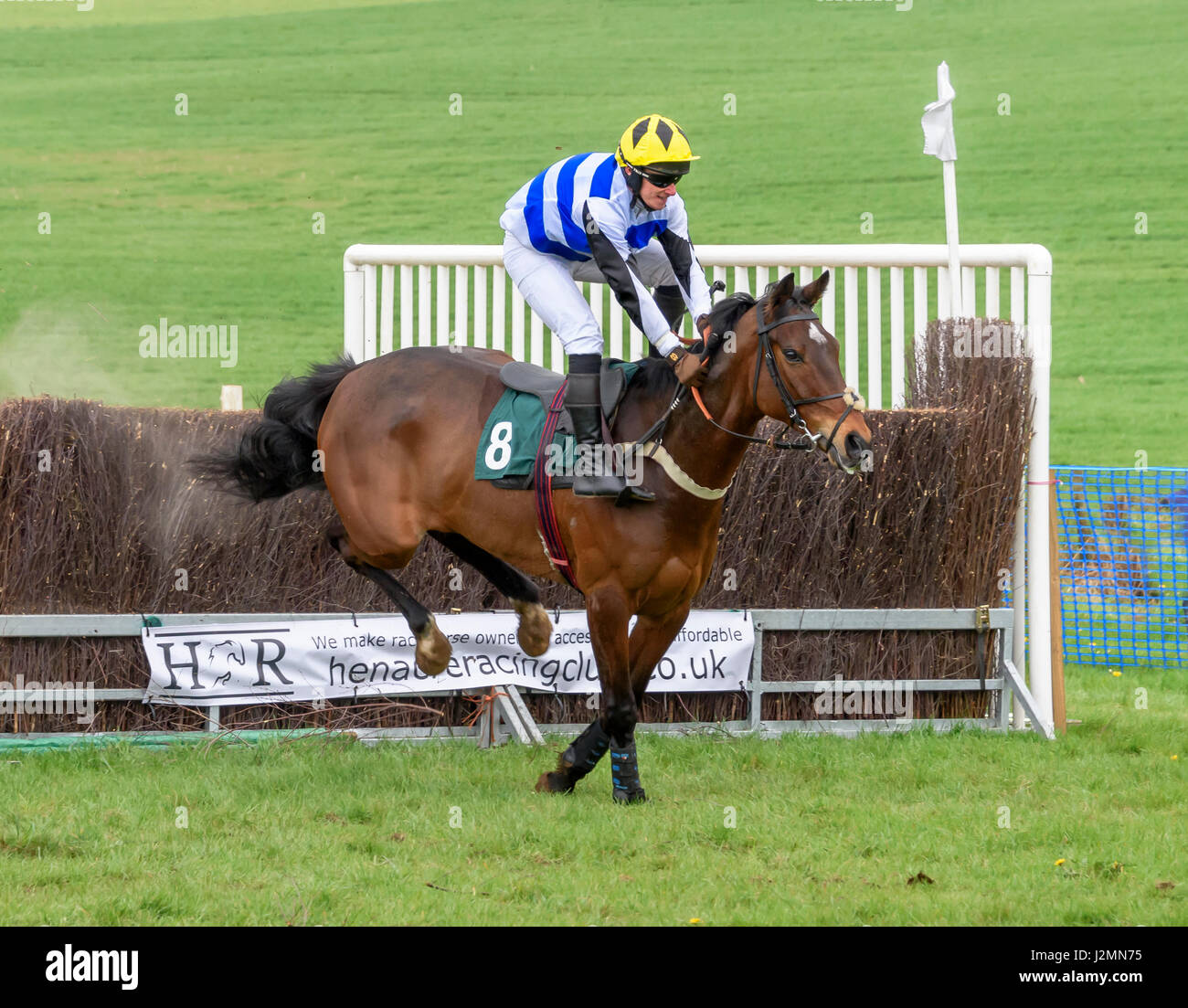 Jumping fences hi-res stock photography and images - Alamy