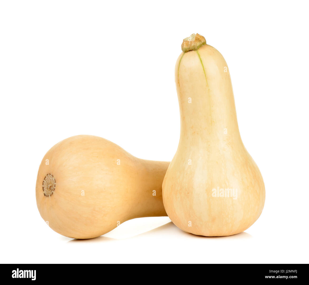 butternut squash isolated on the white background Stock Photo - Alamy
