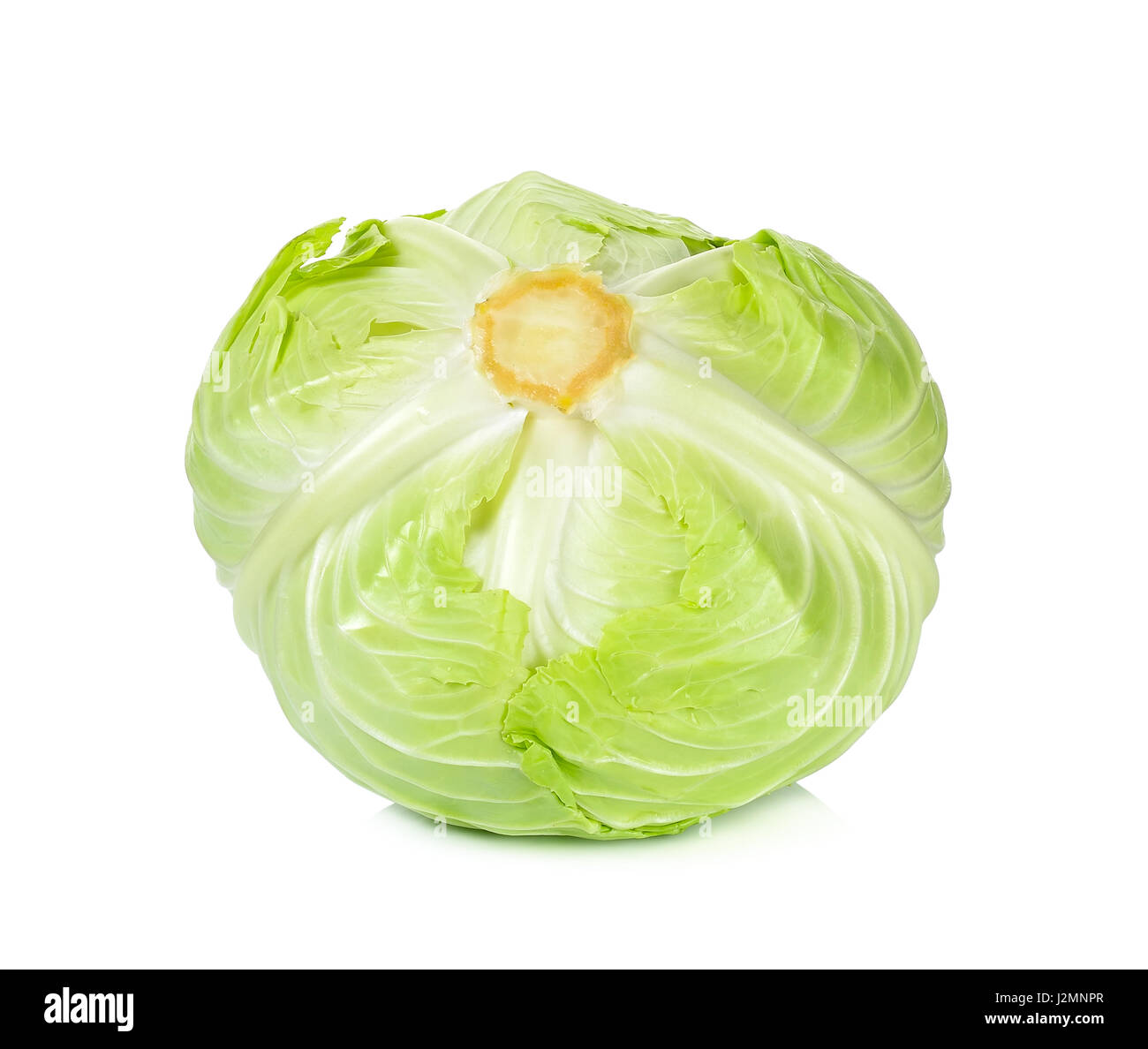 Cabbage isolated on the white background Stock Photo - Alamy