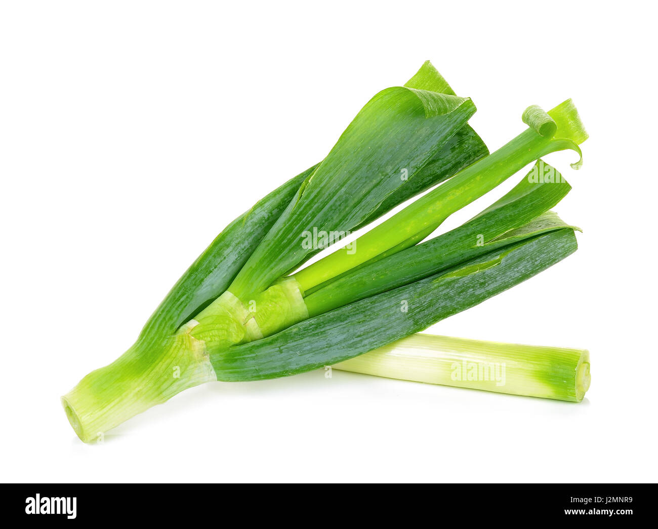 japanese bunching onion isolated on white background Stock Photo - Alamy