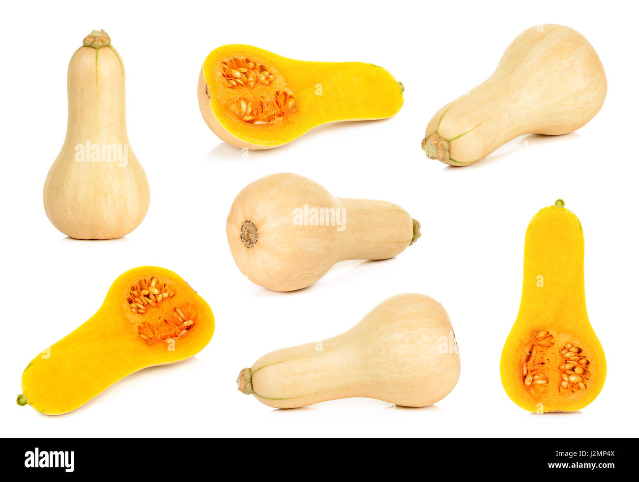 Set of butternut squash isolated on the white background Stock Photo ...
