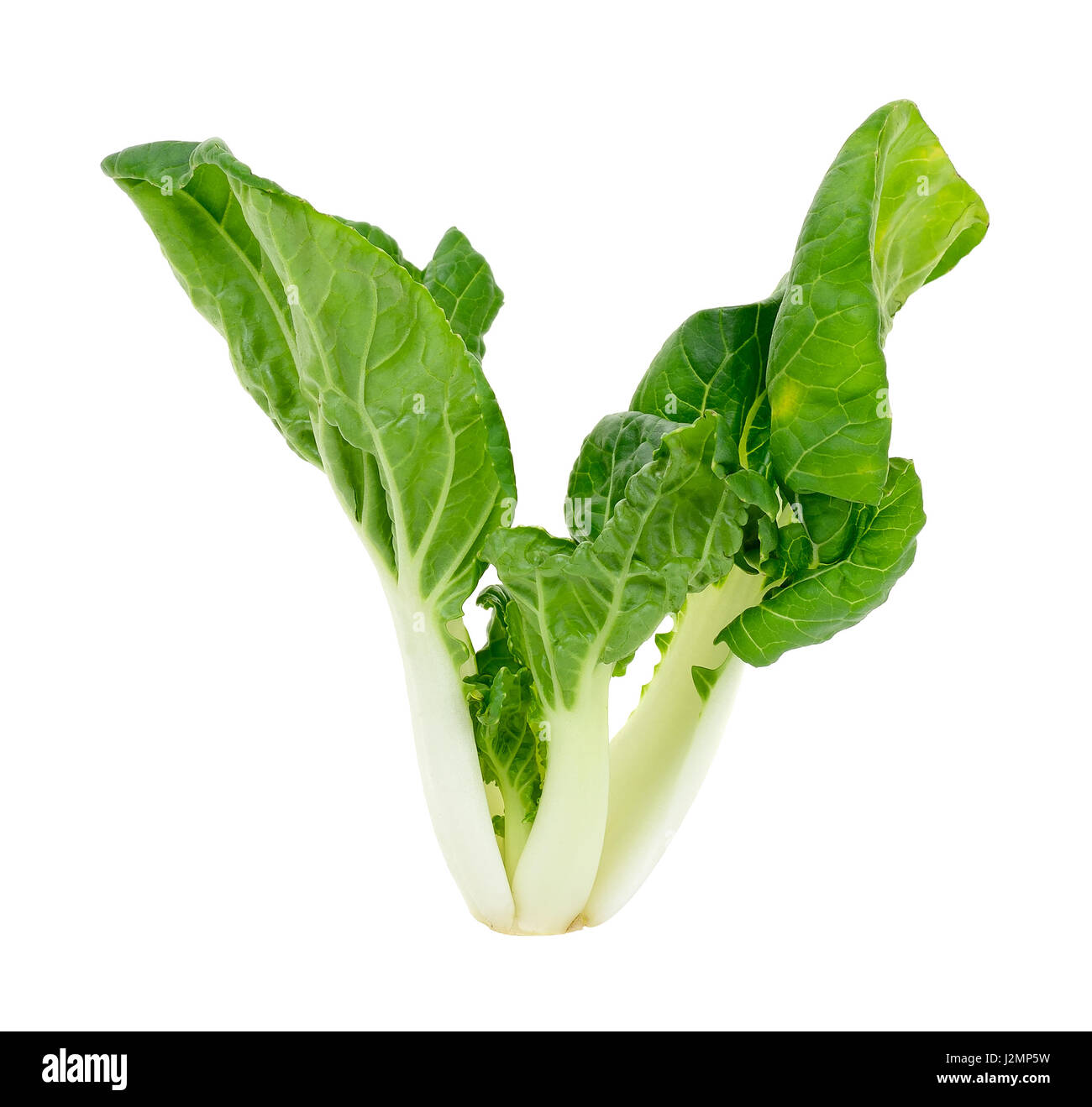 Bok choy vegetable isolated on the white background Stock Photo - Alamy
