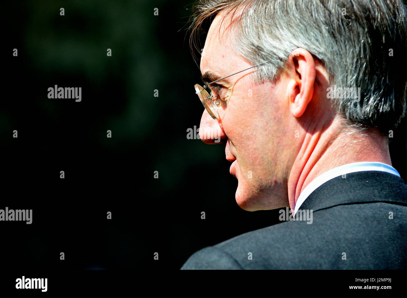Jacob Rees-Mogg MP (Con: North East Somerset) on College Green ...