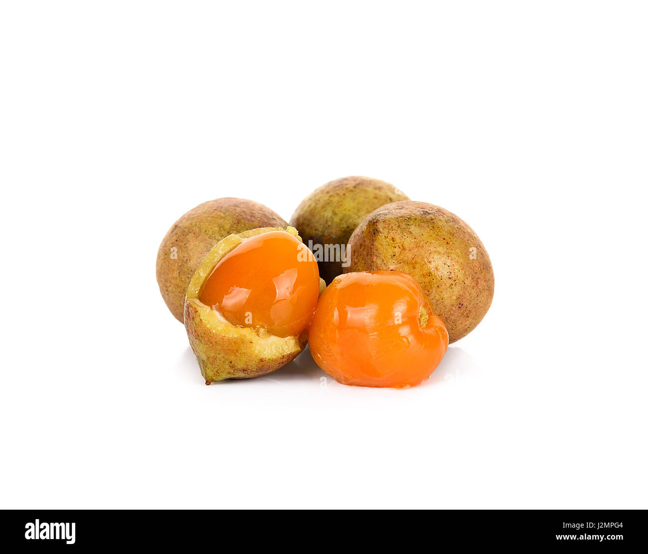 Schleichera oleosa (Lour.) Oken fruit isolated on white background ...