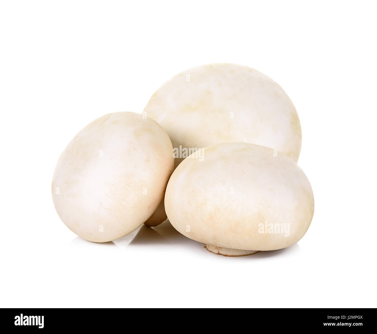 Champignon mushroom isolated on white background Stock Photo - Alamy