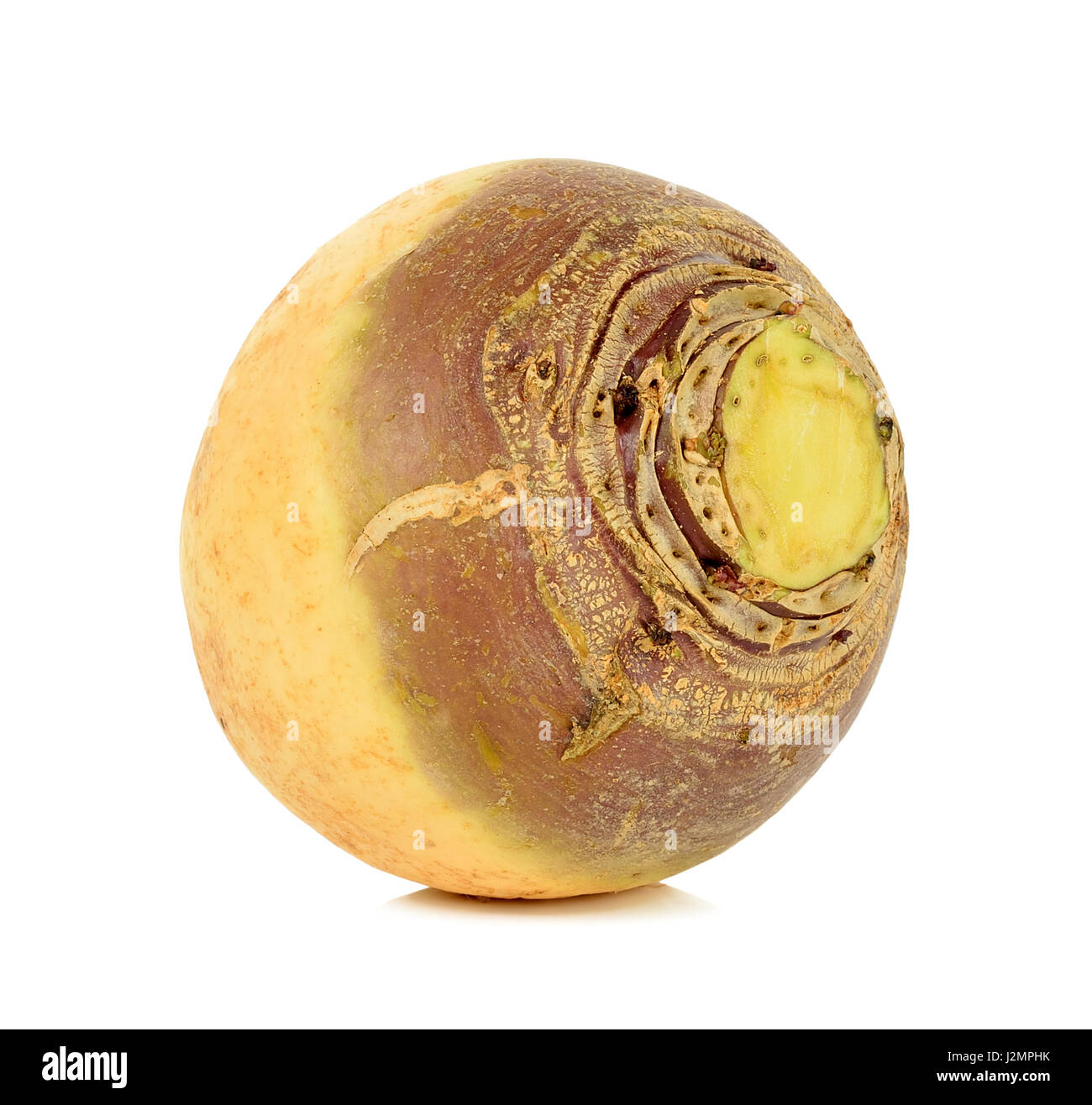 Swede vegetable Cut Out Stock Images & Pictures - Alamy