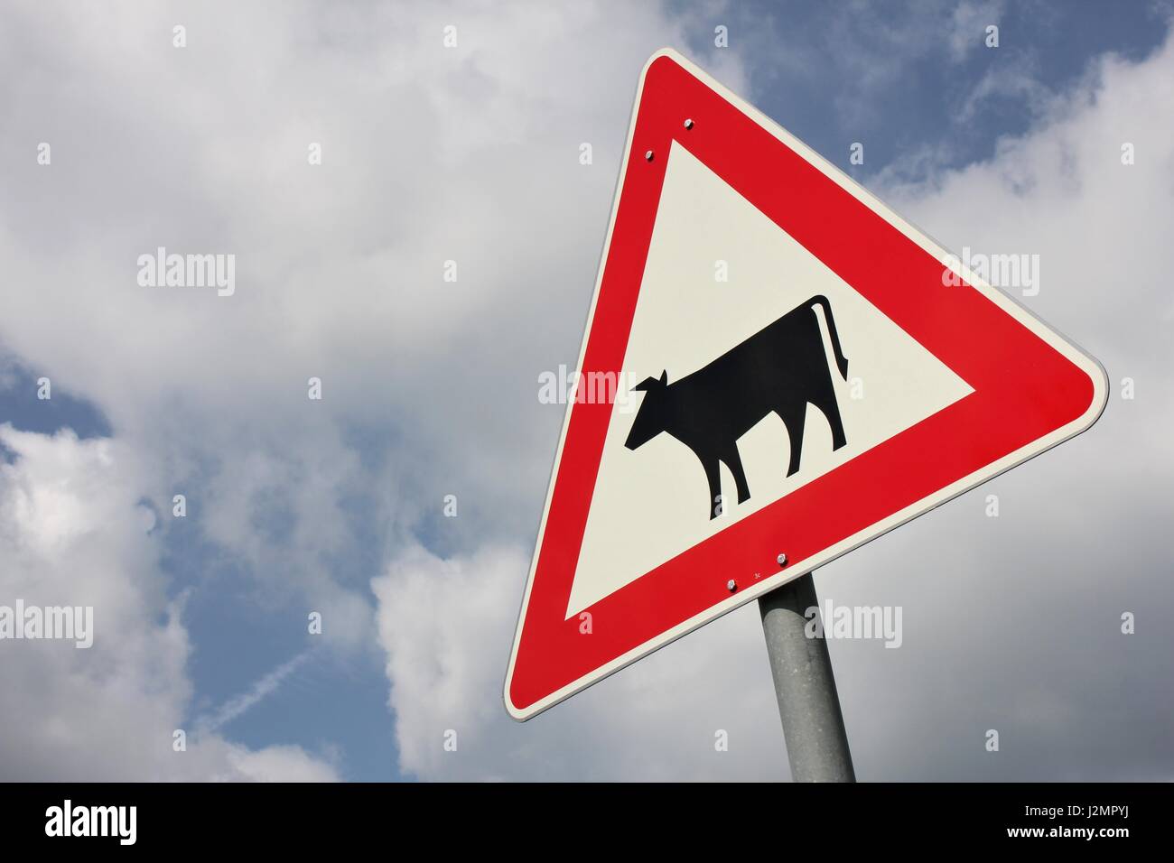 Do not touch sign animals hi-res stock photography and images - Alamy