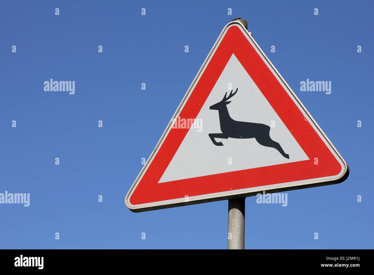 German road sign: wild animals crossing Stock Photo - Alamy