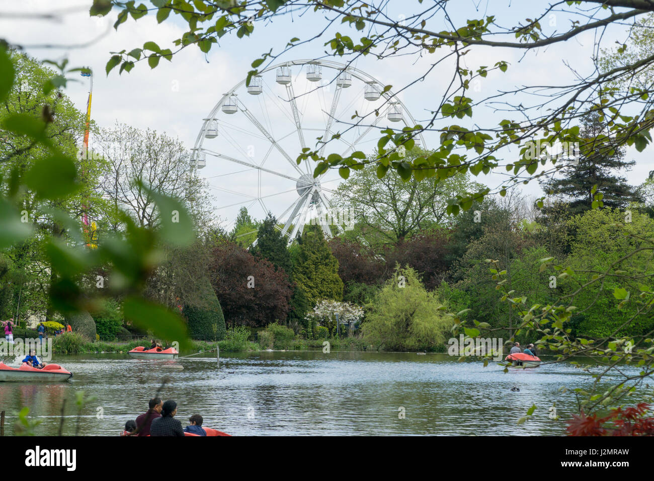 Tree branches overhanging in water hi-res stock photography and images ...