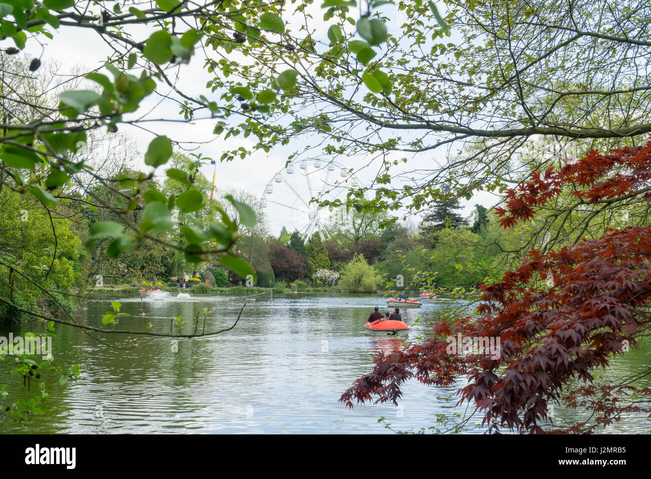 Overhanging tree branch against a lake in the countryside Stock Photo ...