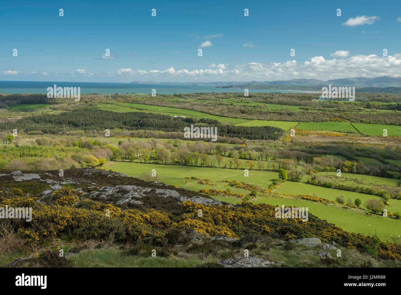 Bodafon mountain hi-res stock photography and images - Alamy