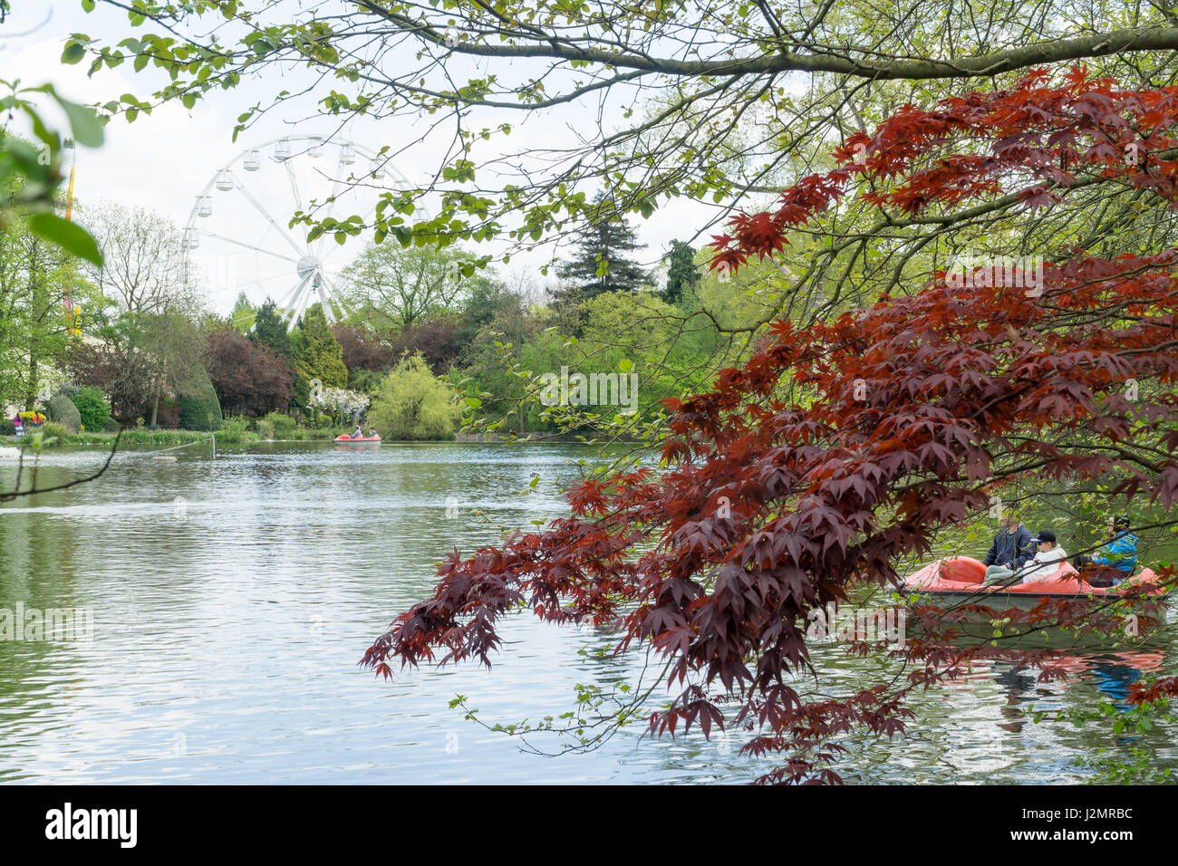 Overhanging tree branch hi-res stock photography and images - Alamy