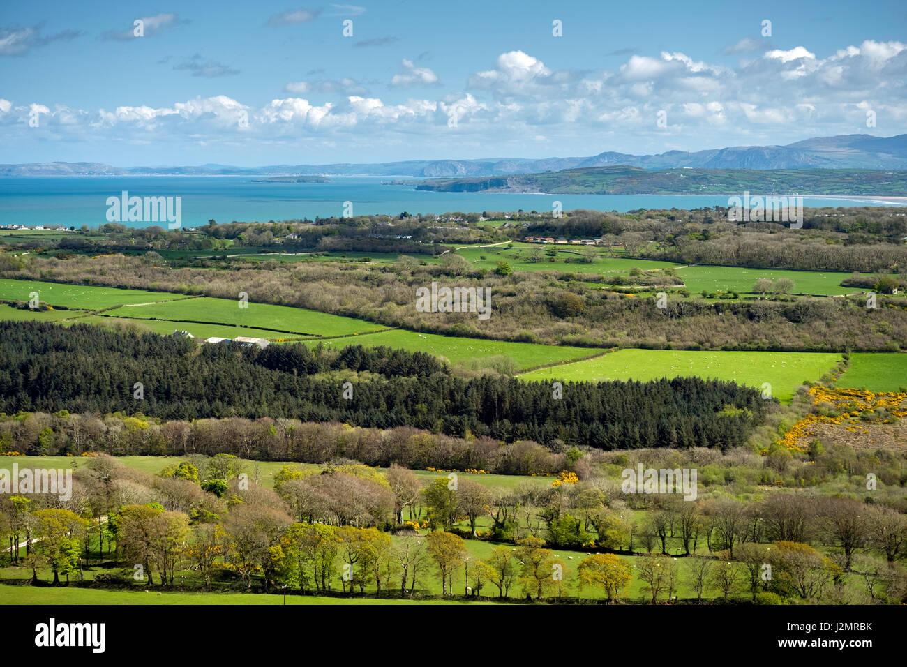 Bodafon mountain hi-res stock photography and images - Alamy