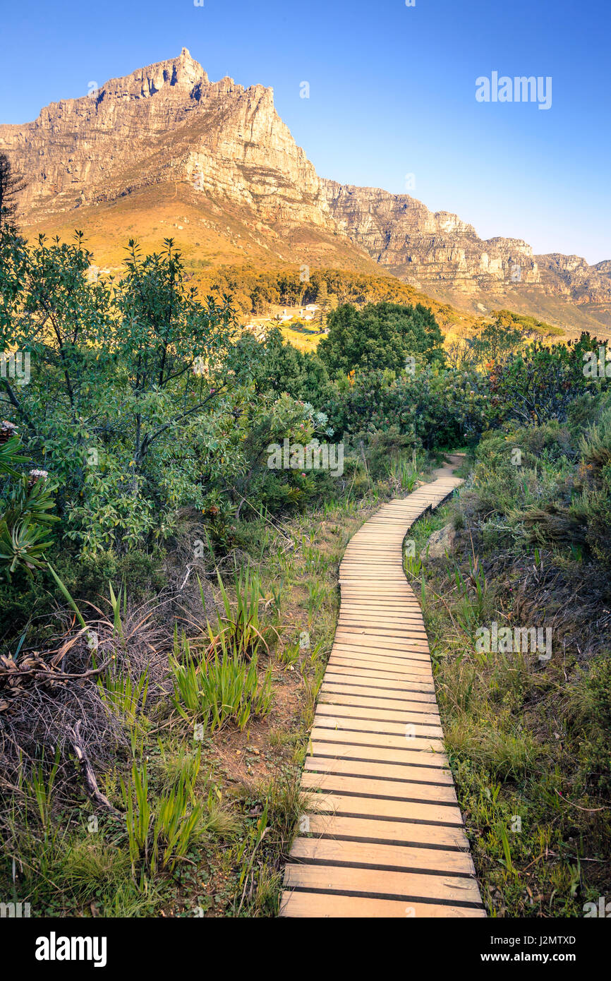 South africa hi-res stock photography and images - Alamy