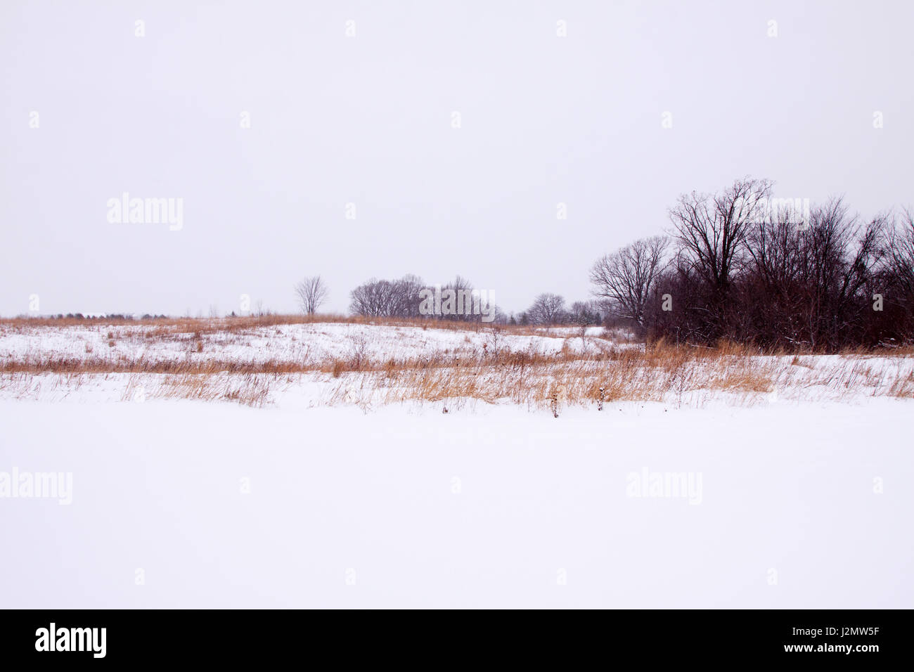 Open Field in Wisconsin During Light Snow Stock Photo - Alamy