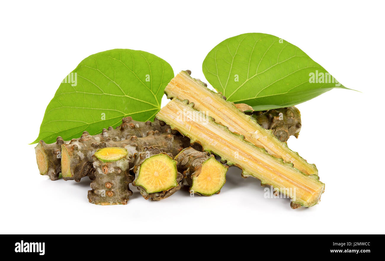 Tinospora cordifolia herb isolated on white background Stock Photo - Alamy