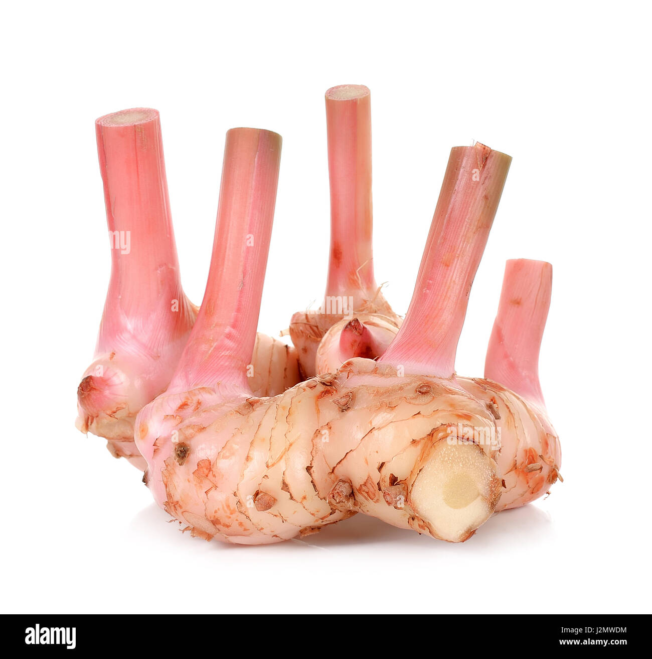 Ginger isolated on the white background Stock Photo - Alamy