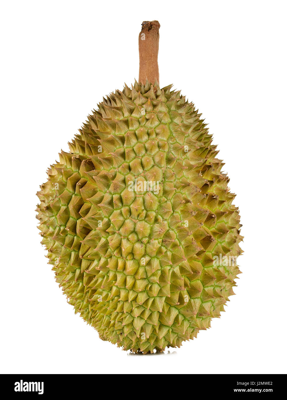 Durian isolated on the white background Stock Photo - Alamy