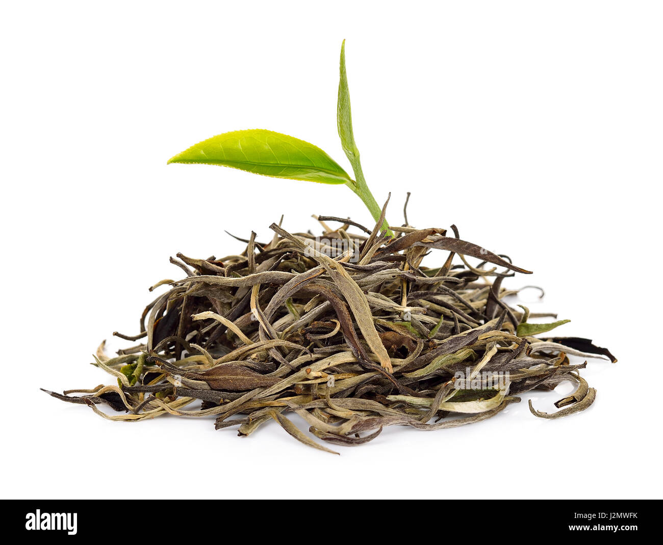 Dried tea leaf isolated on white background Stock Photo - Alamy