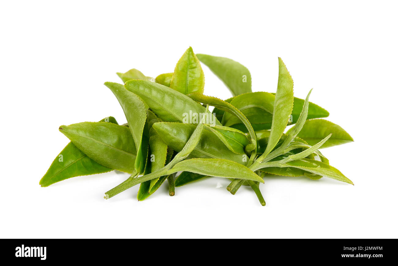 white tea leaf isolated on white background Stock Photo - Alamy