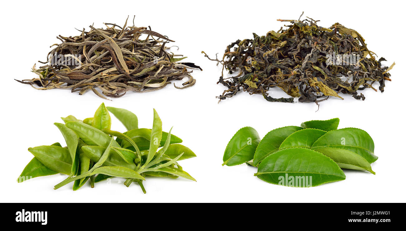 Dried tea leaf isolated on white background Stock Photo - Alamy