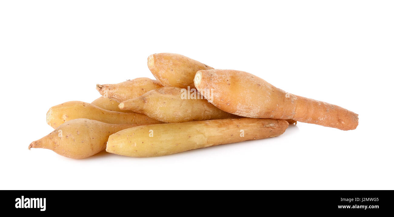 finger root isolated on the white background Stock Photo - Alamy