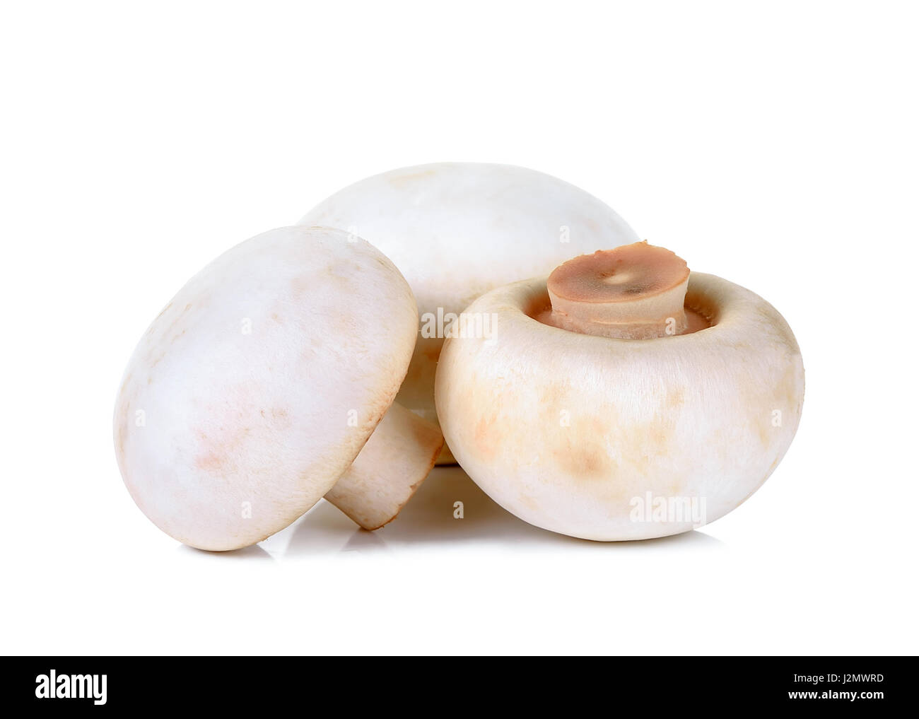 Champignon mushroom isolated on white background Stock Photo - Alamy