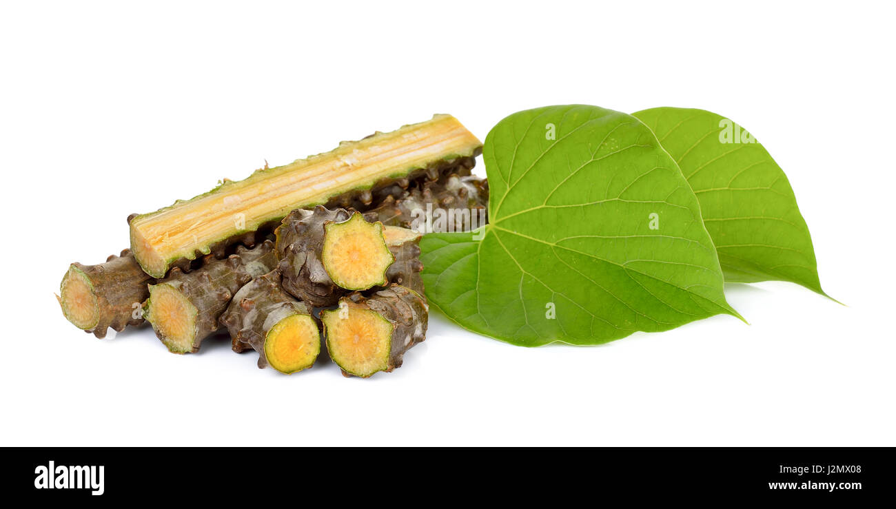 Tinospora cordifolia herb isolated on white background Stock Photo - Alamy