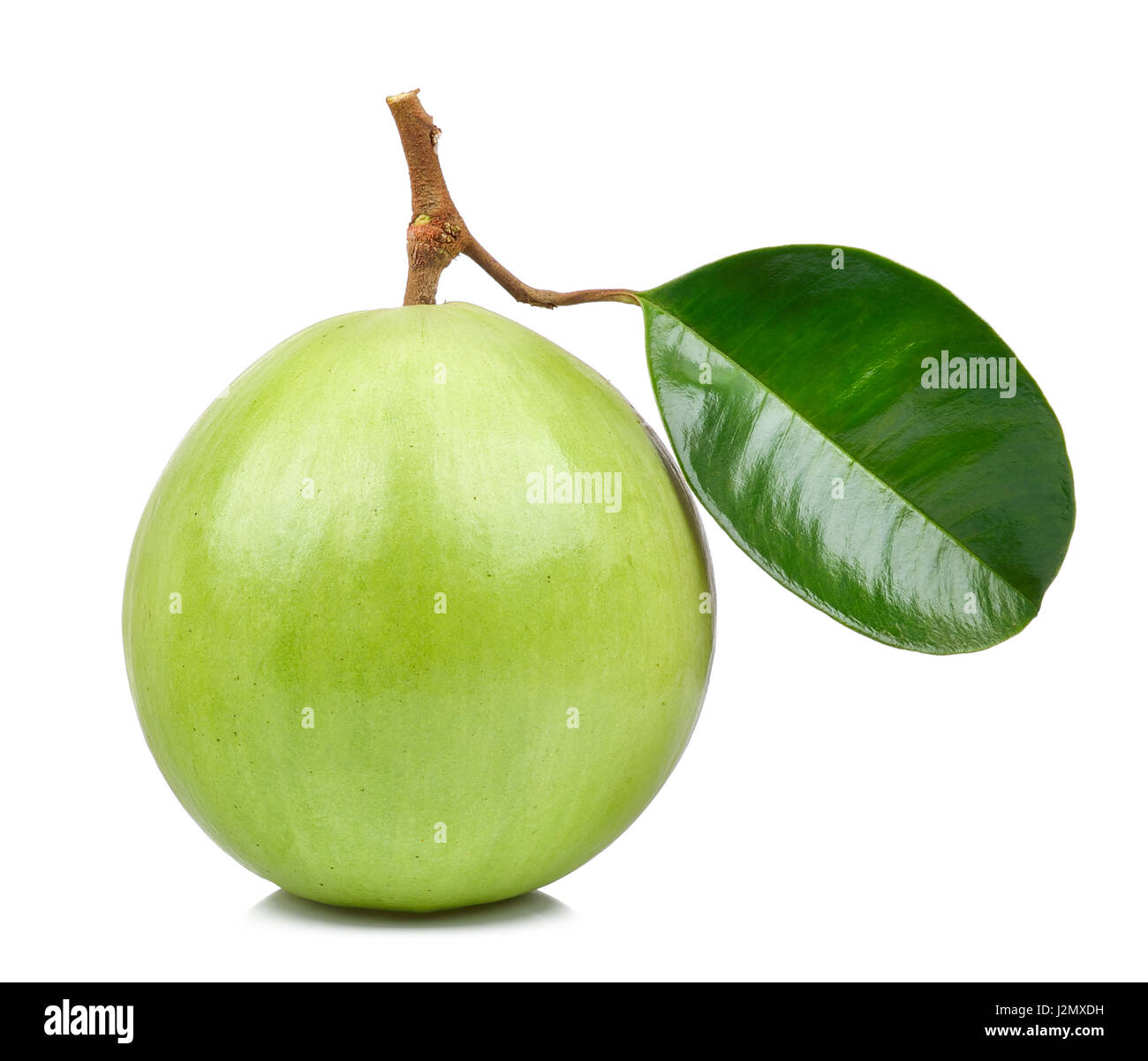 Star apple isolated on the white background Stock Photo - Alamy