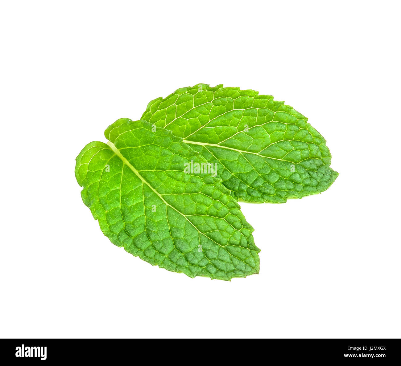 peppermint isolated on the white background Stock Photo - Alamy