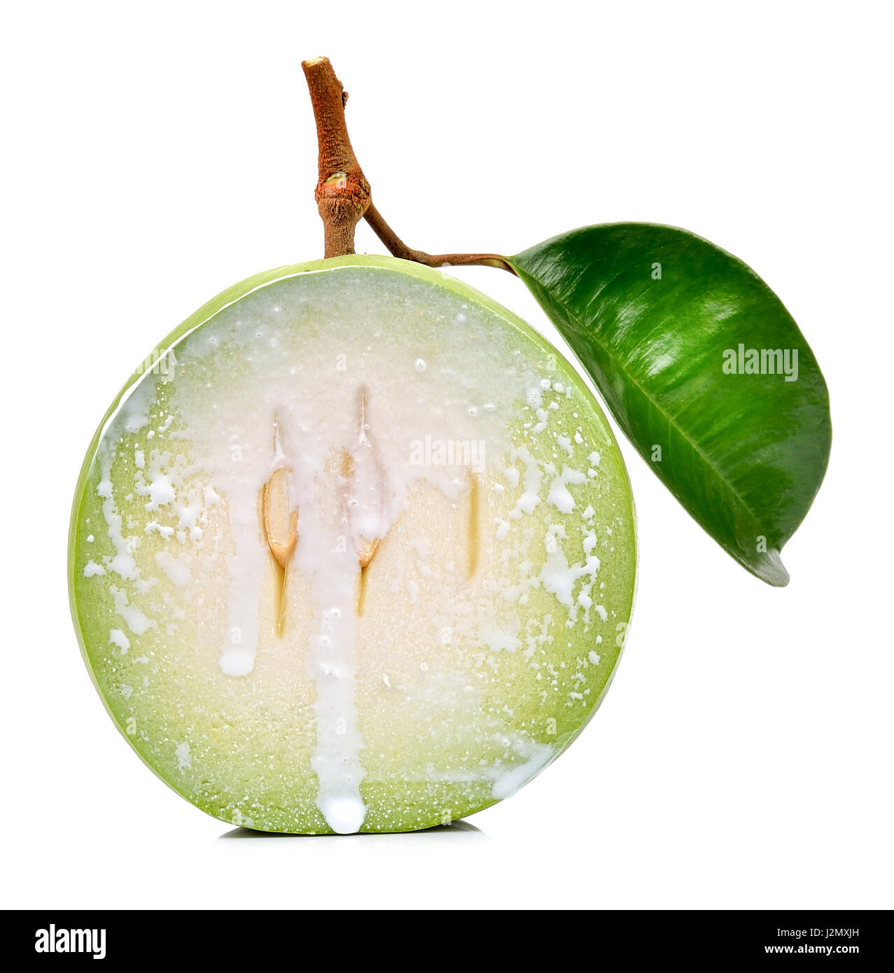Star apple isolated on the white background Stock Photo - Alamy