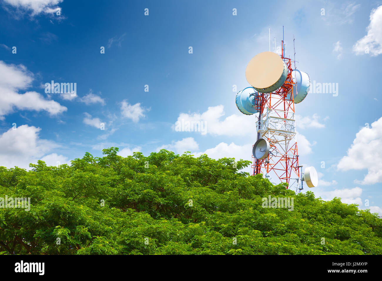 Telecommunication tower peaking above tree top on a bright blue sunny sky and white fluffy ...