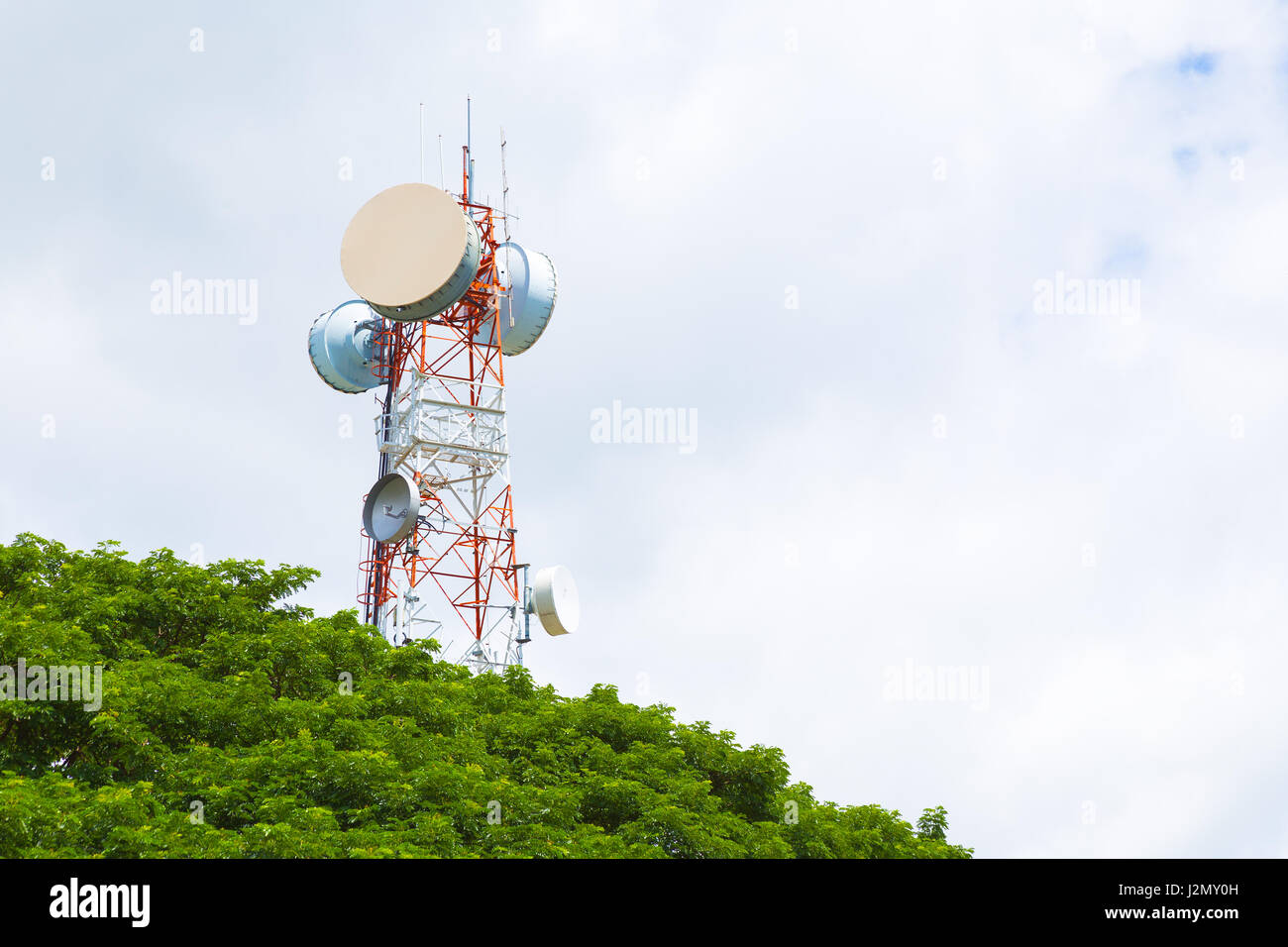 Telecommunication tower peaking above tree top on a bright sunny and ...