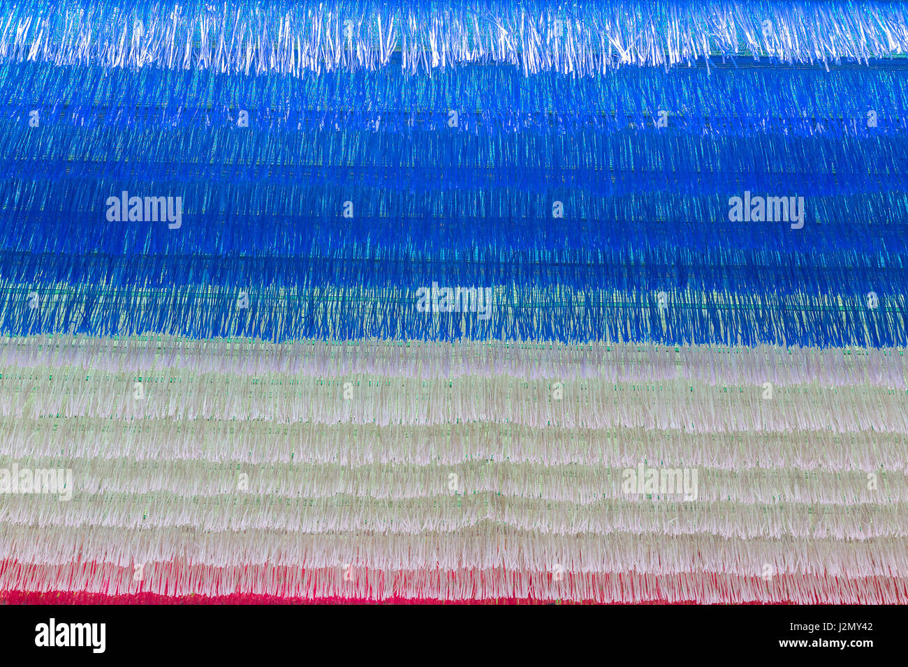 Small multi-color plastice strips hanging from roof Stock Photo - Alamy