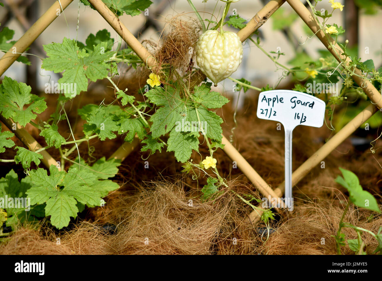 Farming structures hi-res stock photography and images - Alamy