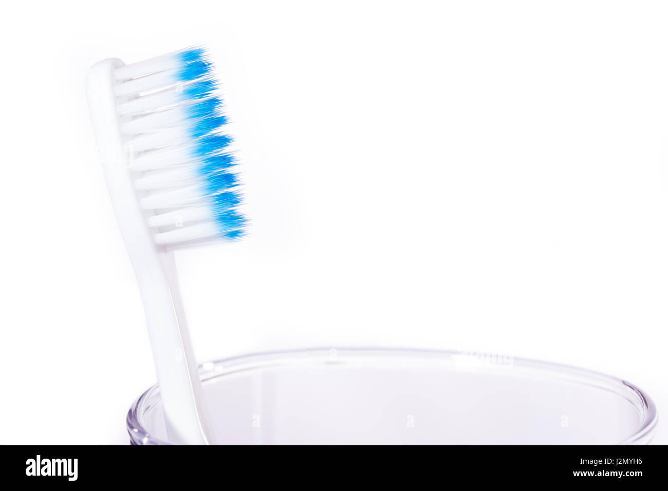 Toothbrush with blue color indicator on end of extra thin bristle's ...