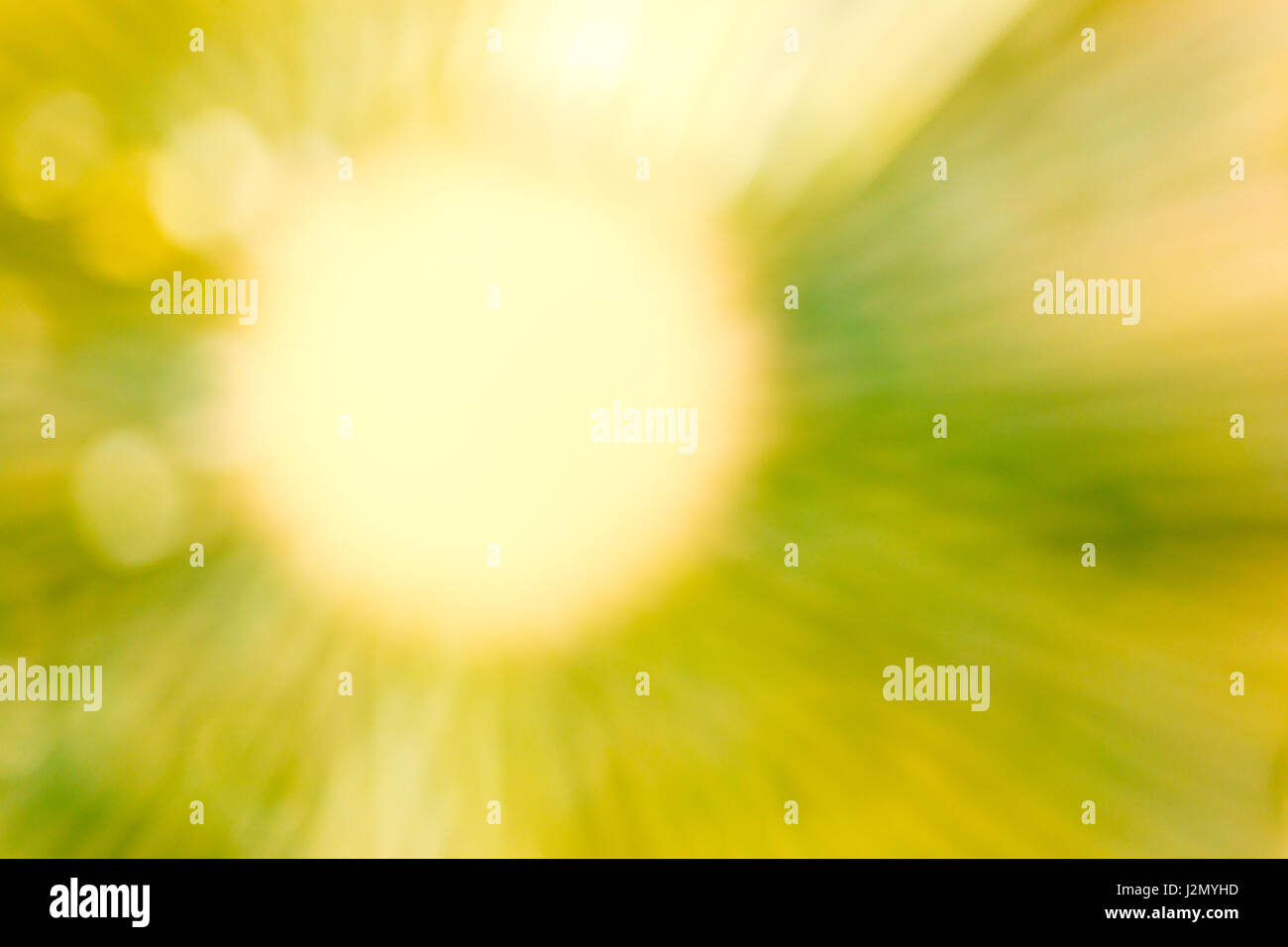 Blurred abstract background in greenish yellow tone, soft yellow circle ...