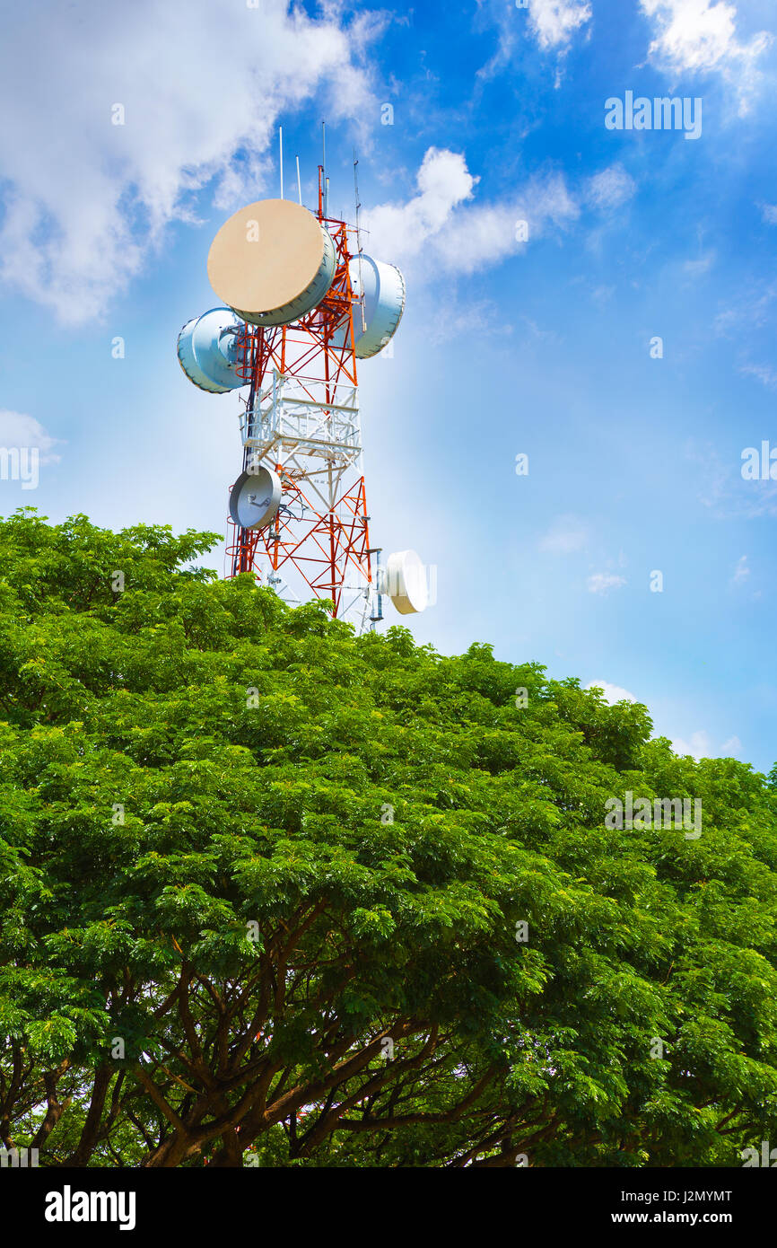 Telecommunication tower peaking above tree top on a bright blue sunny sky and white fluffy ...