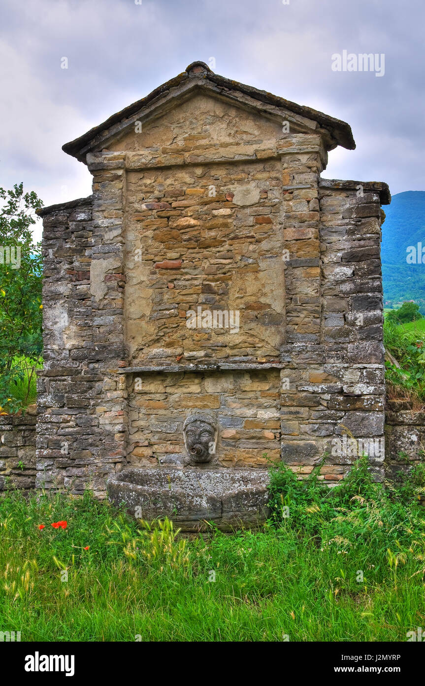 Varsi hi-res stock photography and images - Alamy