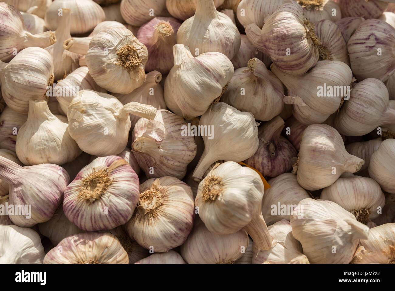 Stack garlic bulbs full hi-res stock photography and images - Alamy